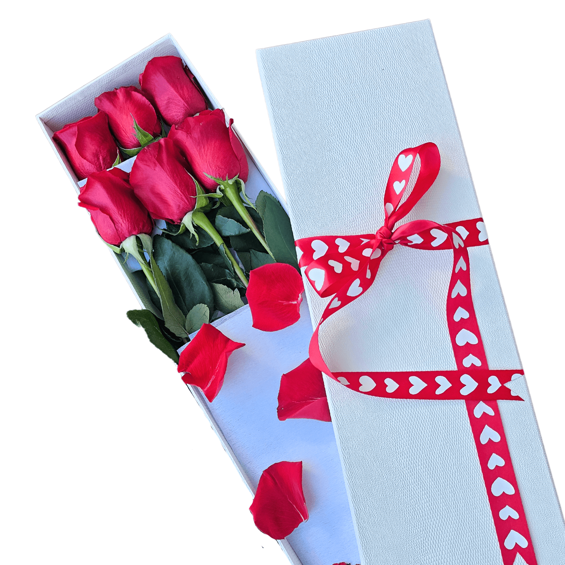 Long Stemmed Ecuador Red Roses Box - 6 Stems | Flower Delivery ...