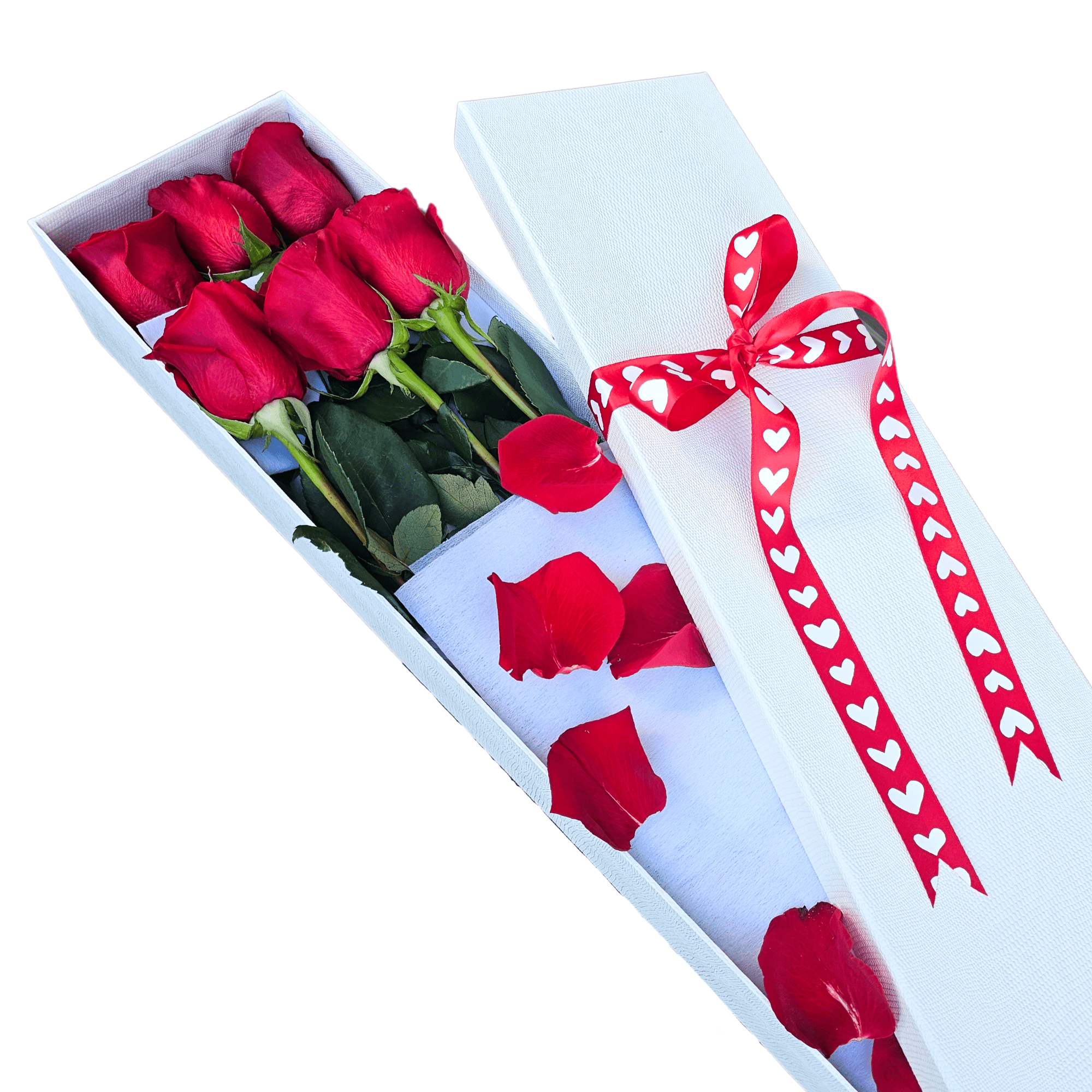 Long Stemmed Ecuador Red Roses Box - 6 Stems | Flower Delivery ...
